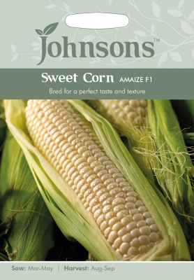 Sweet Corn Seeds 'Amaize F1' by Johnsons - kazco.co.uk