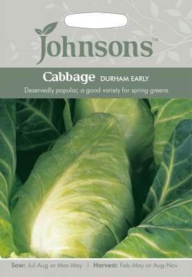 Cabbage 'Durham Early' - Johnson's Seeds - kazco.co.uk