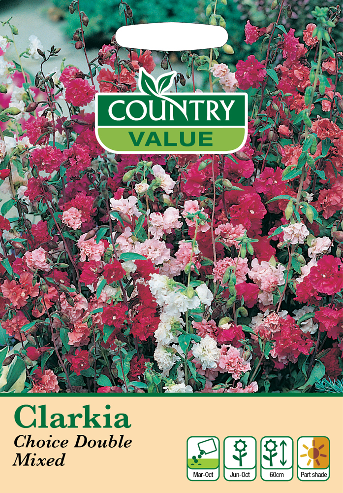 Clarkia Seeds Choice Double Mixed by Country Value - kazco.co.uk