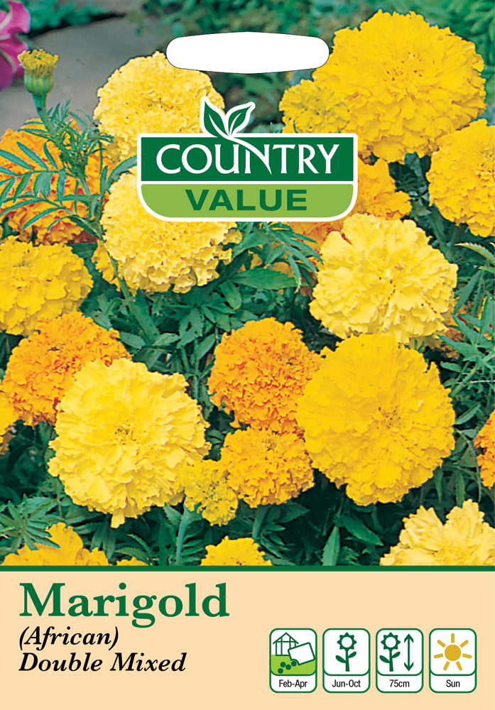 Marigold Seeds African Double Mixed by Country Value - kazco.co.uk