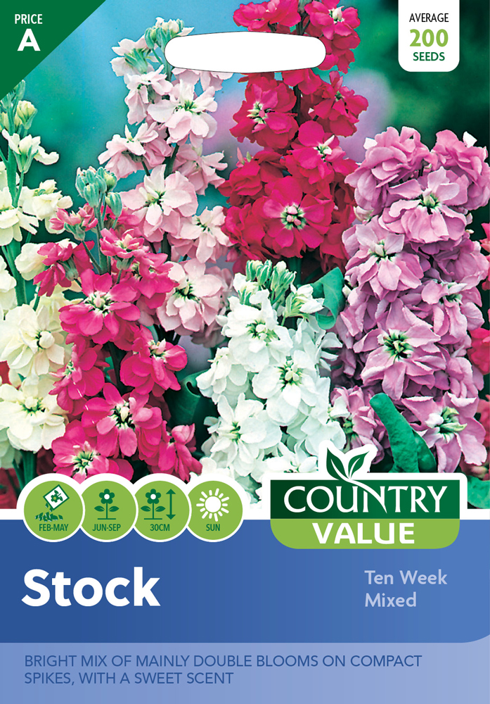 Stock Seeds Ten Week Mixed by Country Value - kazco.co.uk