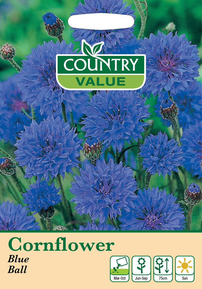 Cornflower Seeds 'Blue Ball' by Country Value - kazco.co.uk