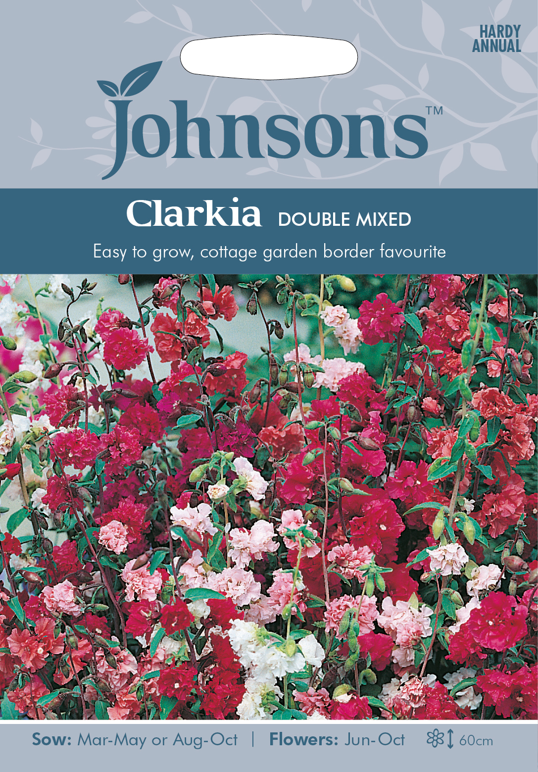 Clarkia 'Double Mixed' Seeds by Johnsons - kazco.co.uk