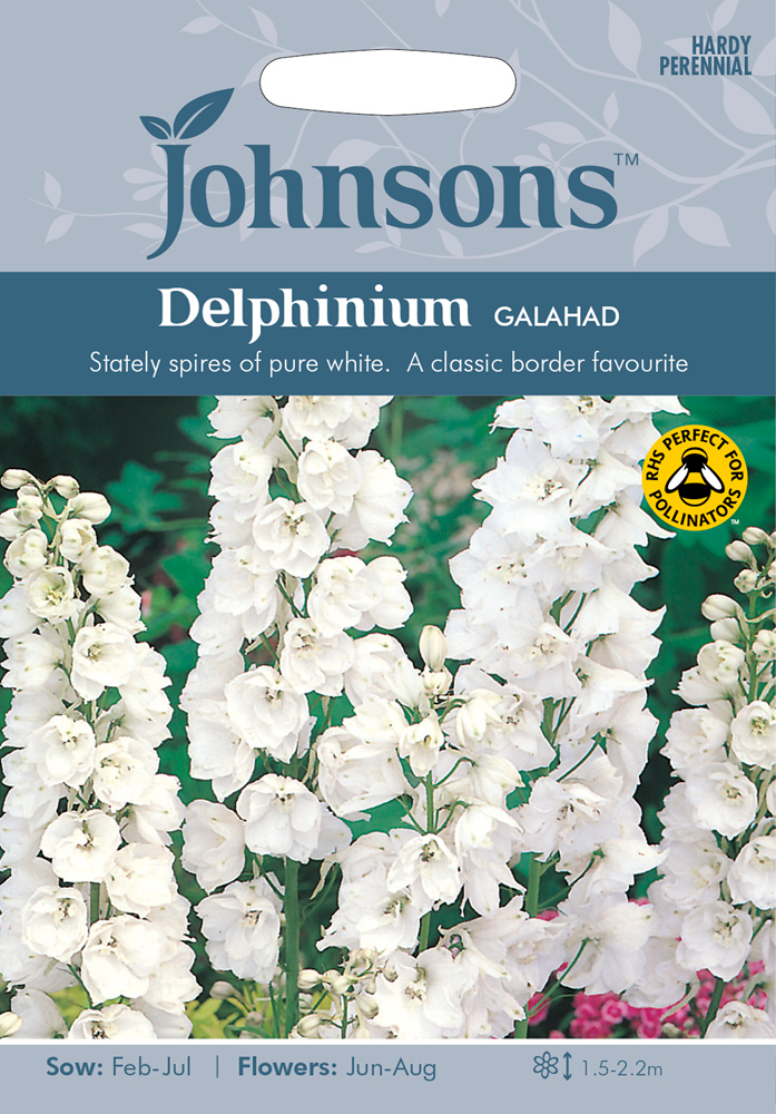 Delphinium Seeds Variety 'Galahad' By Johnsons Seeds - kazco.co.uk