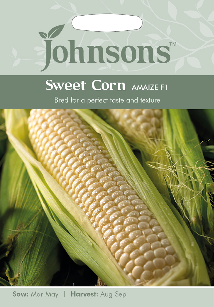 Sweet Corn Seeds 'Amaize F1' by Johnsons - kazco.co.uk