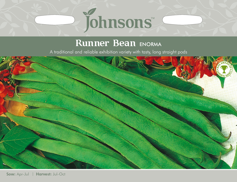 Runner Bean Seeds 'Enorma' by Johnsons - kazco.co.uk