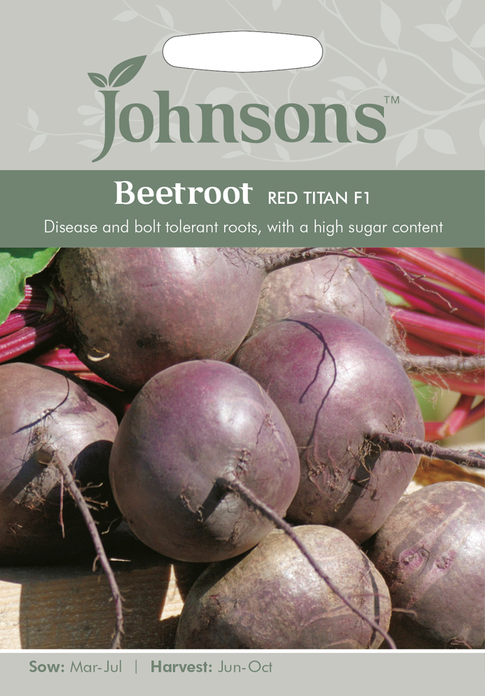 Beetroot Seeds Red Titan F1 by Johnsons - kazco.co.uk