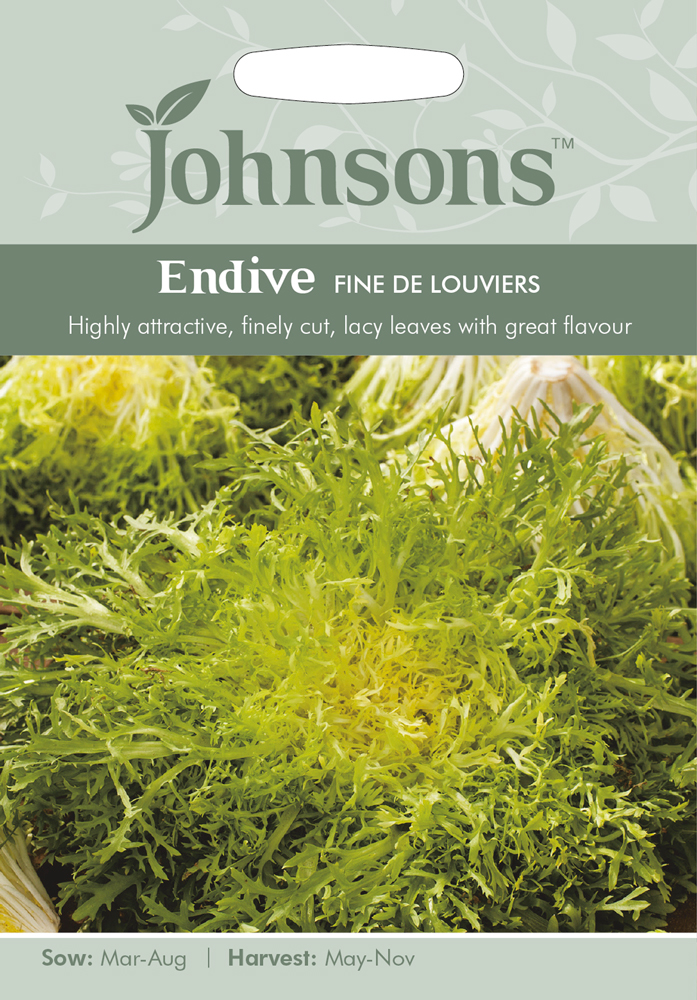 Endive Seeds 'Fine De Louviers' by Johnsons - kazco.co.uk