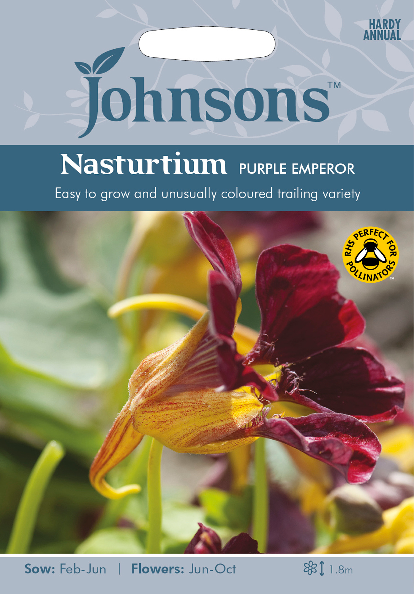 Nasturtium 'Purple Emperor' Seeds by Johnsons - kazco.co.uk