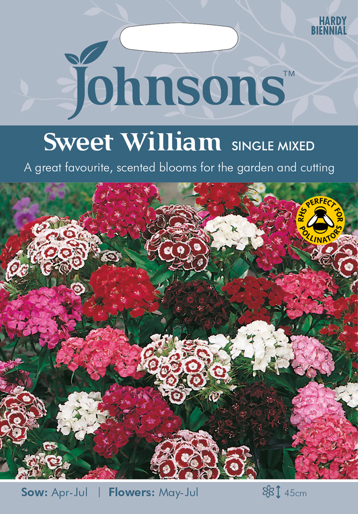 Sweet William Seeds 'Single Mixed' by Johnsons - kazco.co.uk