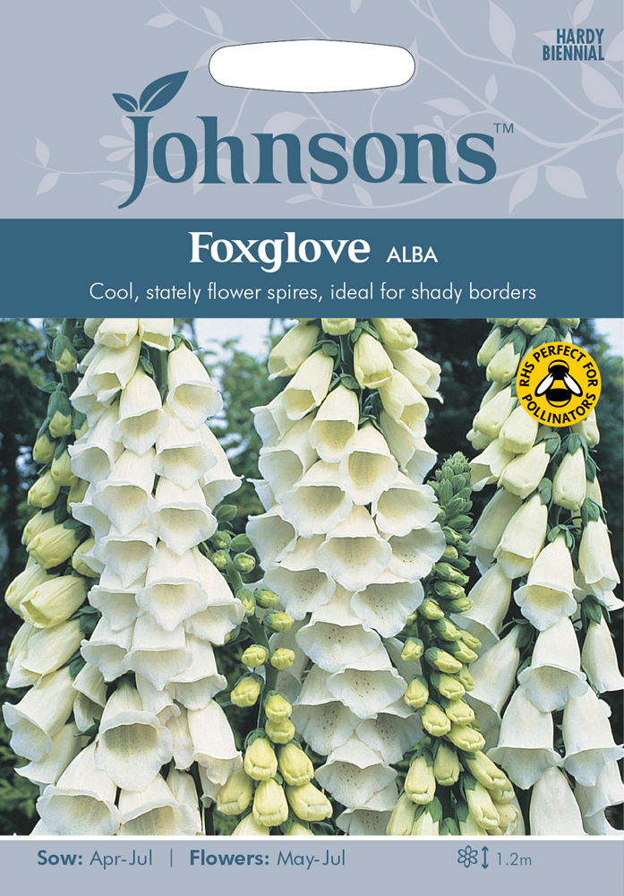 Foxglove 'Alba' Seeds by Johnsons - kazco.co.uk