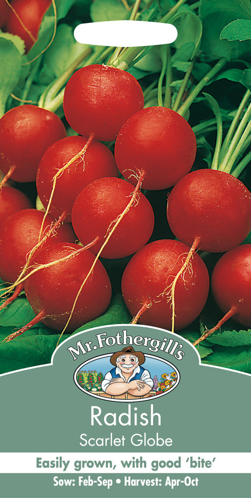 Radish Seeds Scarlet Globe by Mr Fothergills - kazco.co.uk