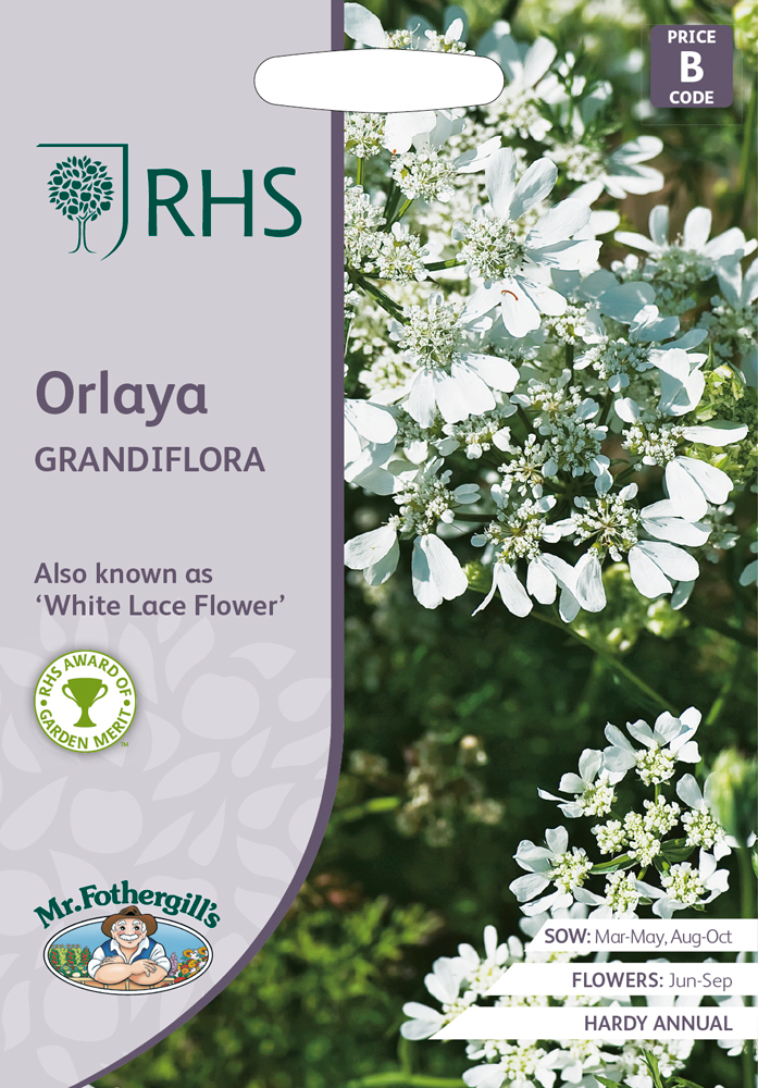 Orlaya Seeds RHS Mr Fothergill's Grandiflora AGM - kazco.co.uk