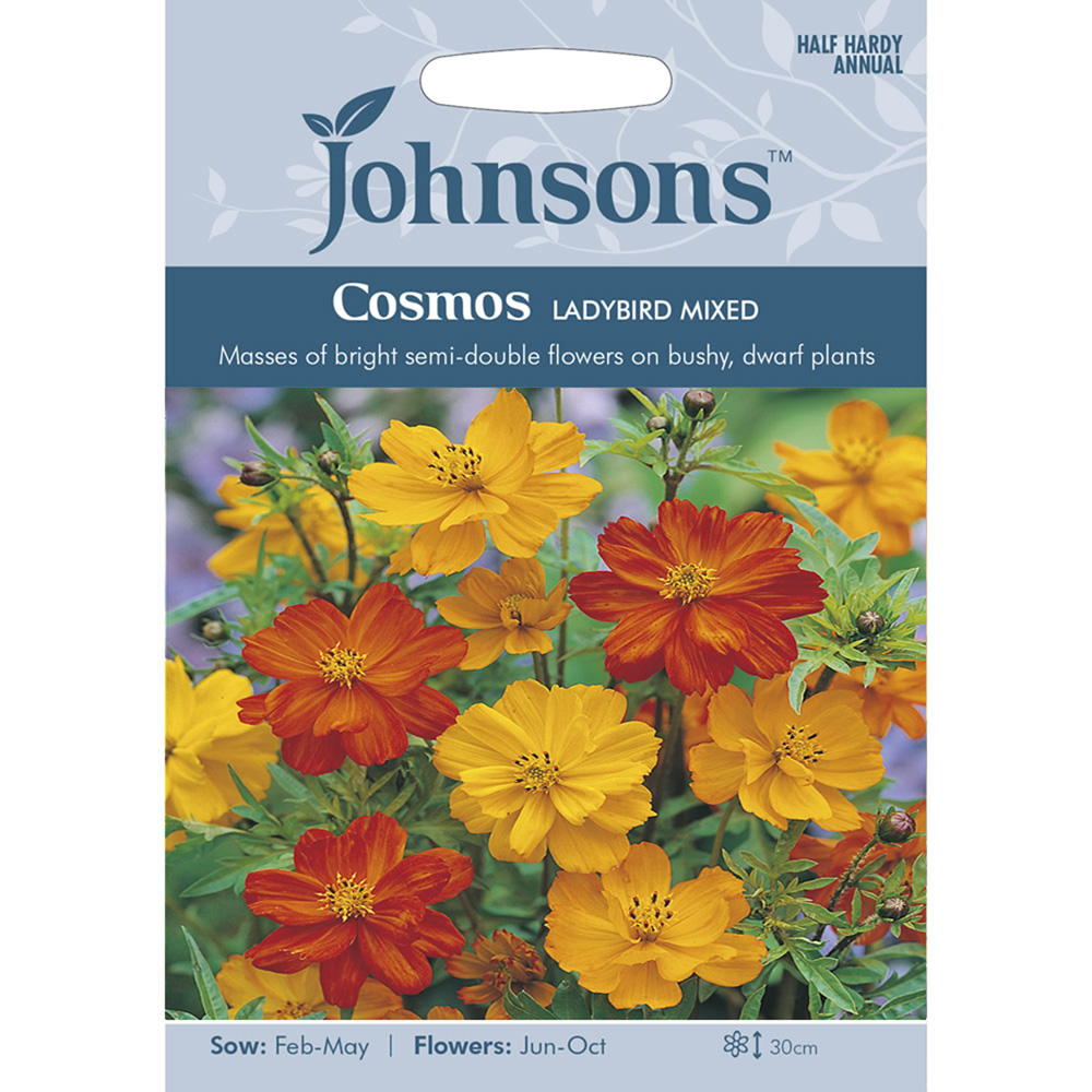 Cosmos Variety 'Ladybird' Mixed by Johnsons Seeds - kazco.co.uk